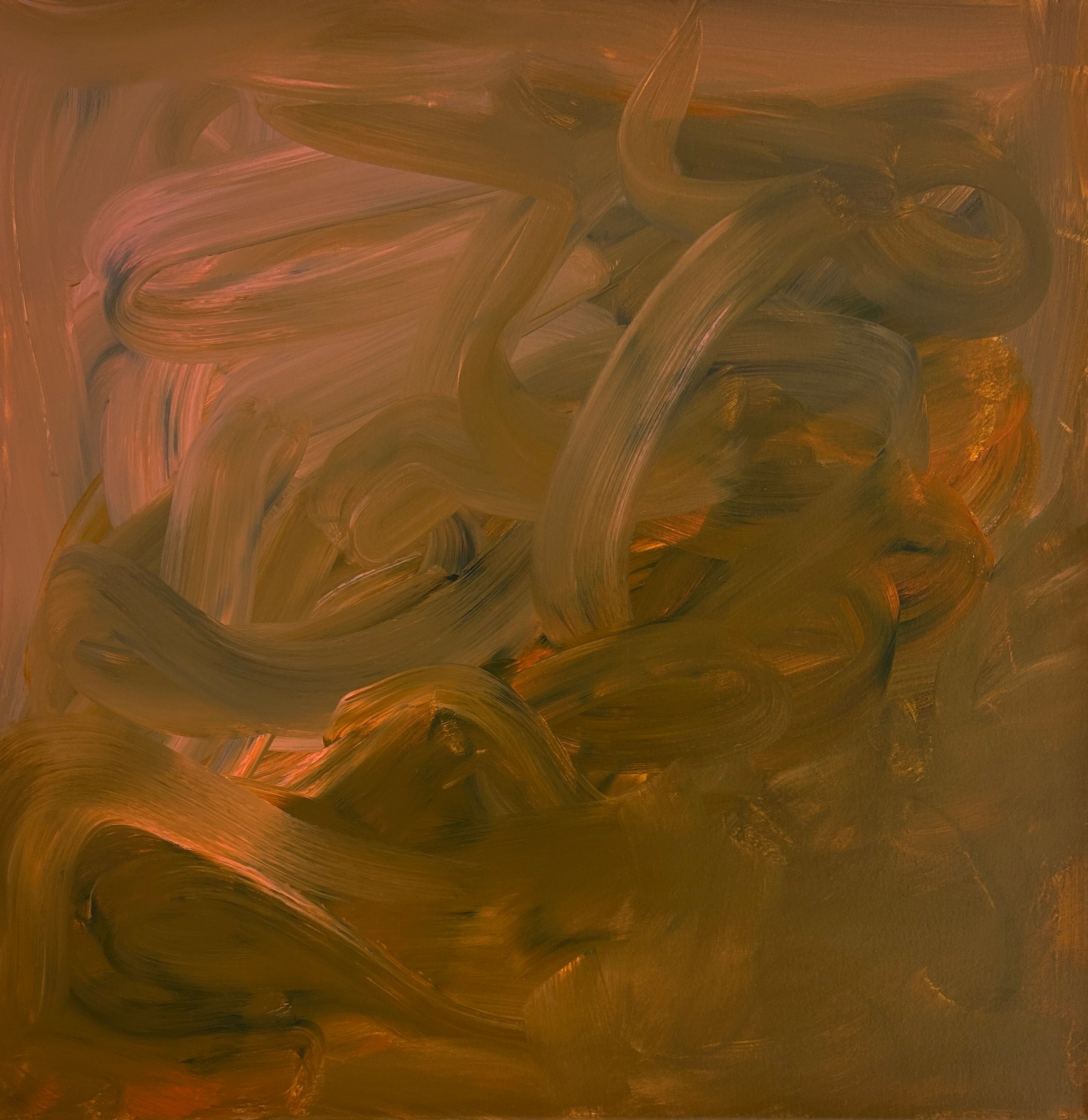 Sara Chamberlain Art | Buy Original Art